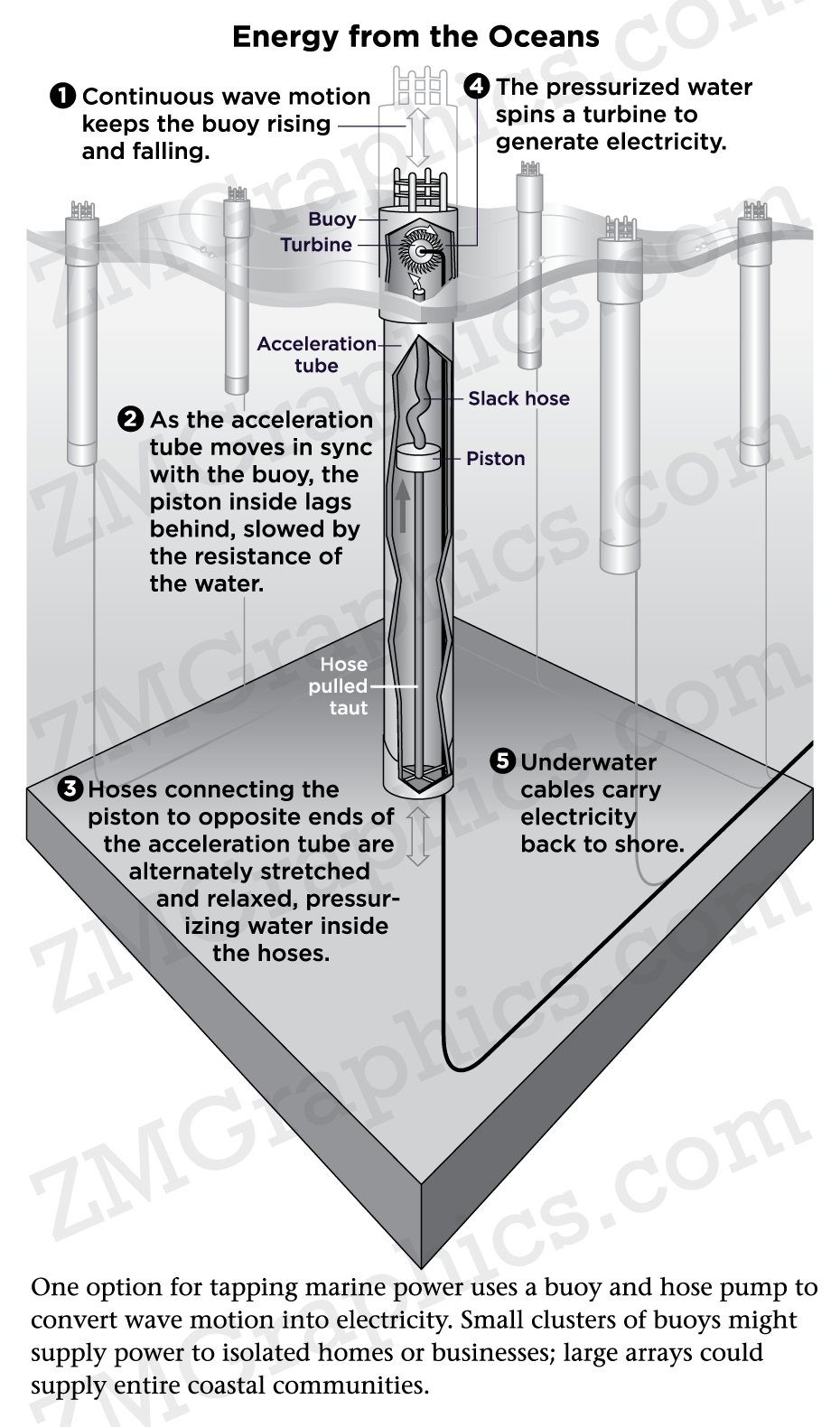 Cutaways by Carol Zuber-Mallison•ZM Graphics